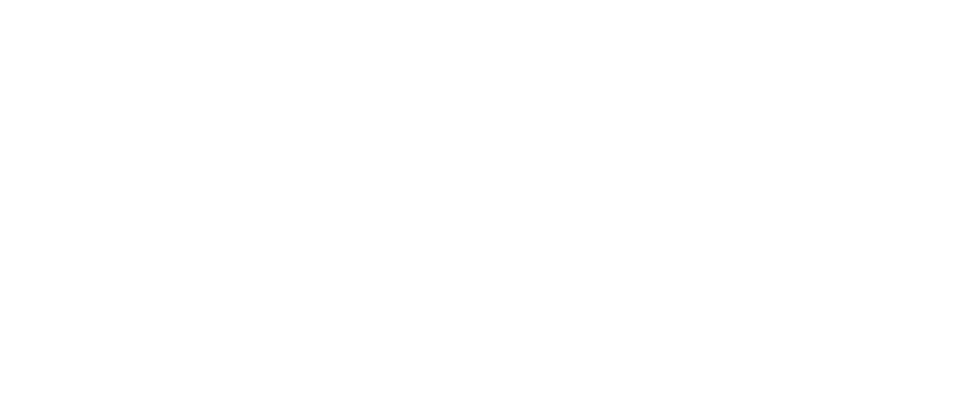 WLS Optimum - FitForMe Research